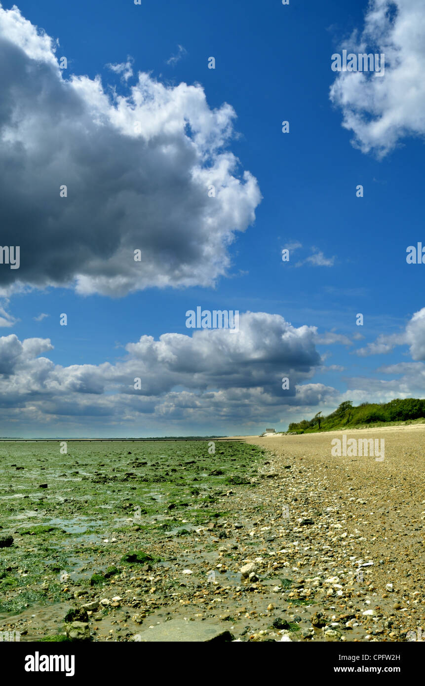 Beach at very low tide exposing seaweed and rocks Stock Photo - Alamy