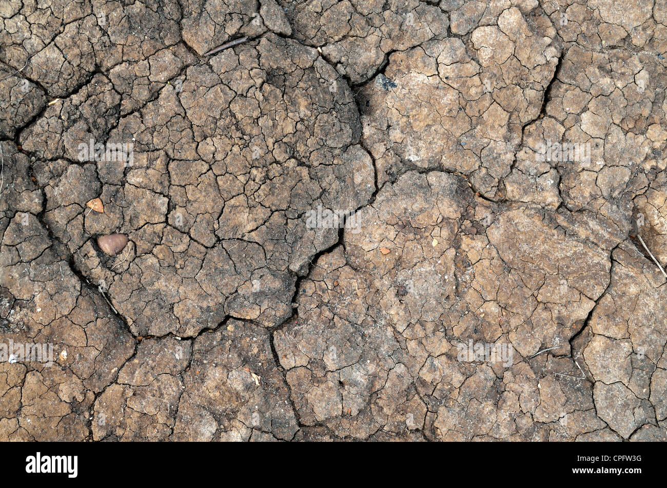Mud texture hi-res stock photography and images - Alamy