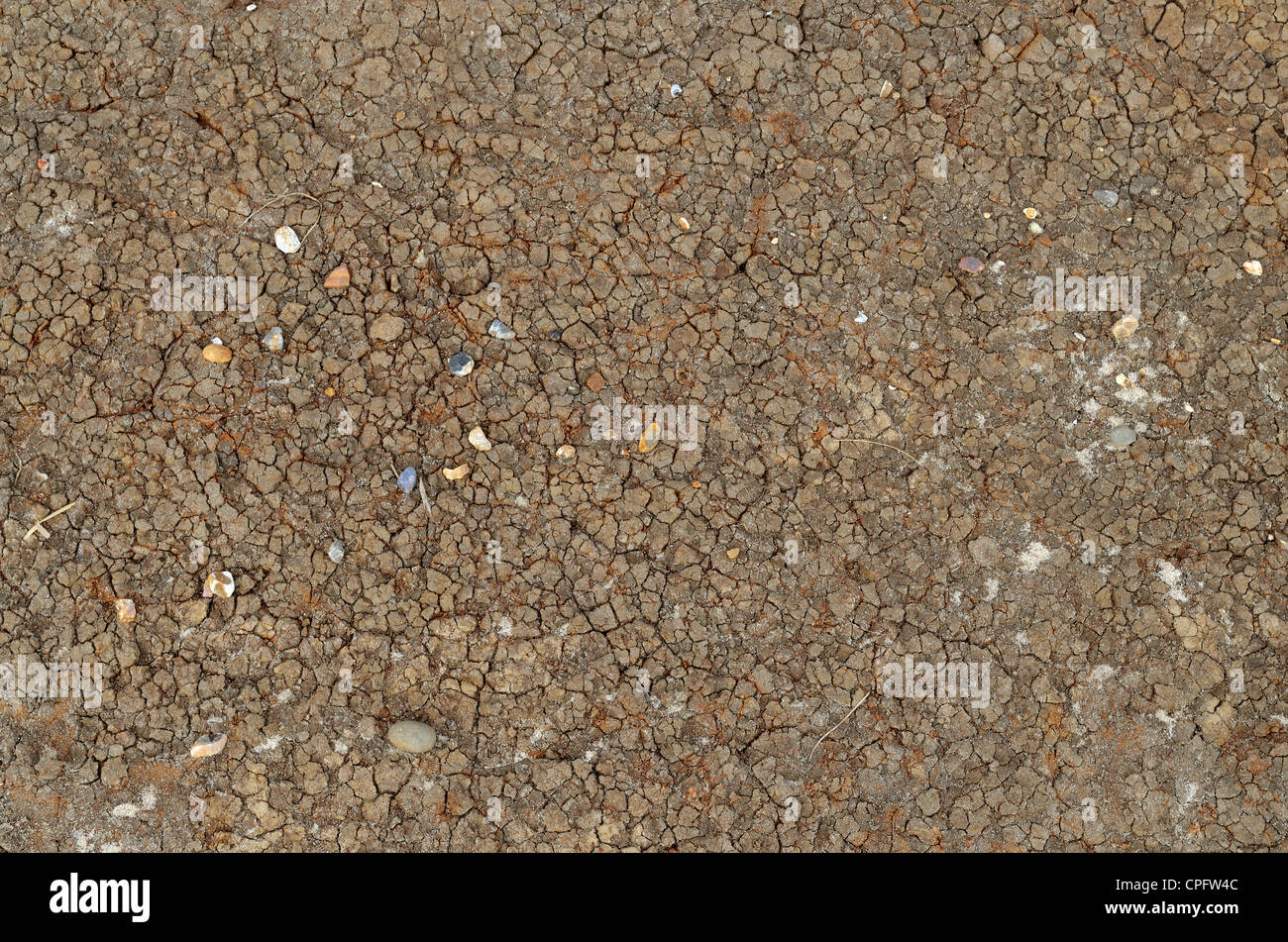 Dried sand and mud along the shoreline Stock Photo - Alamy