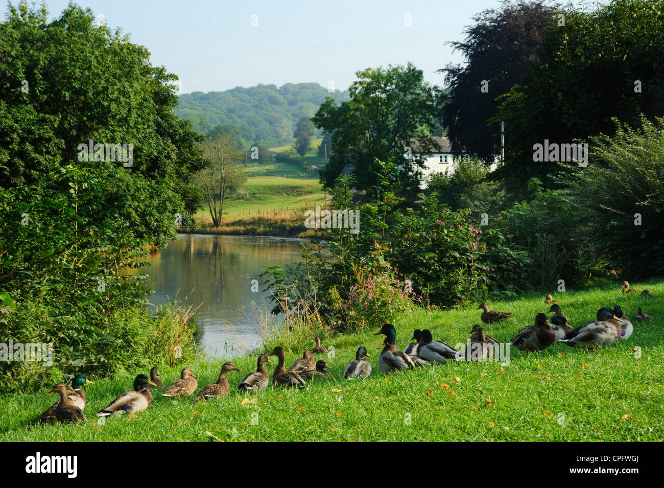 Ribble valley hi-res stock photography and images - Alamy