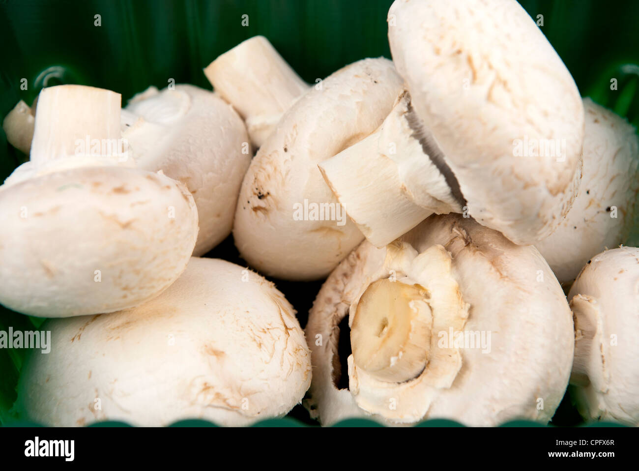 Punnet of mushrooms hi-res stock photography and images - Alamy
