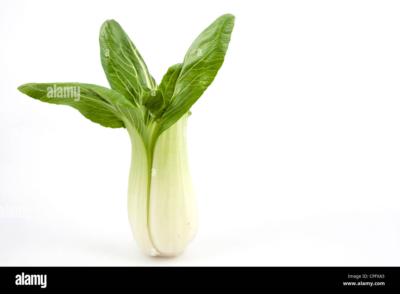 Pak Choi Plant Cut Out Stock Images & Pictures - Alamy