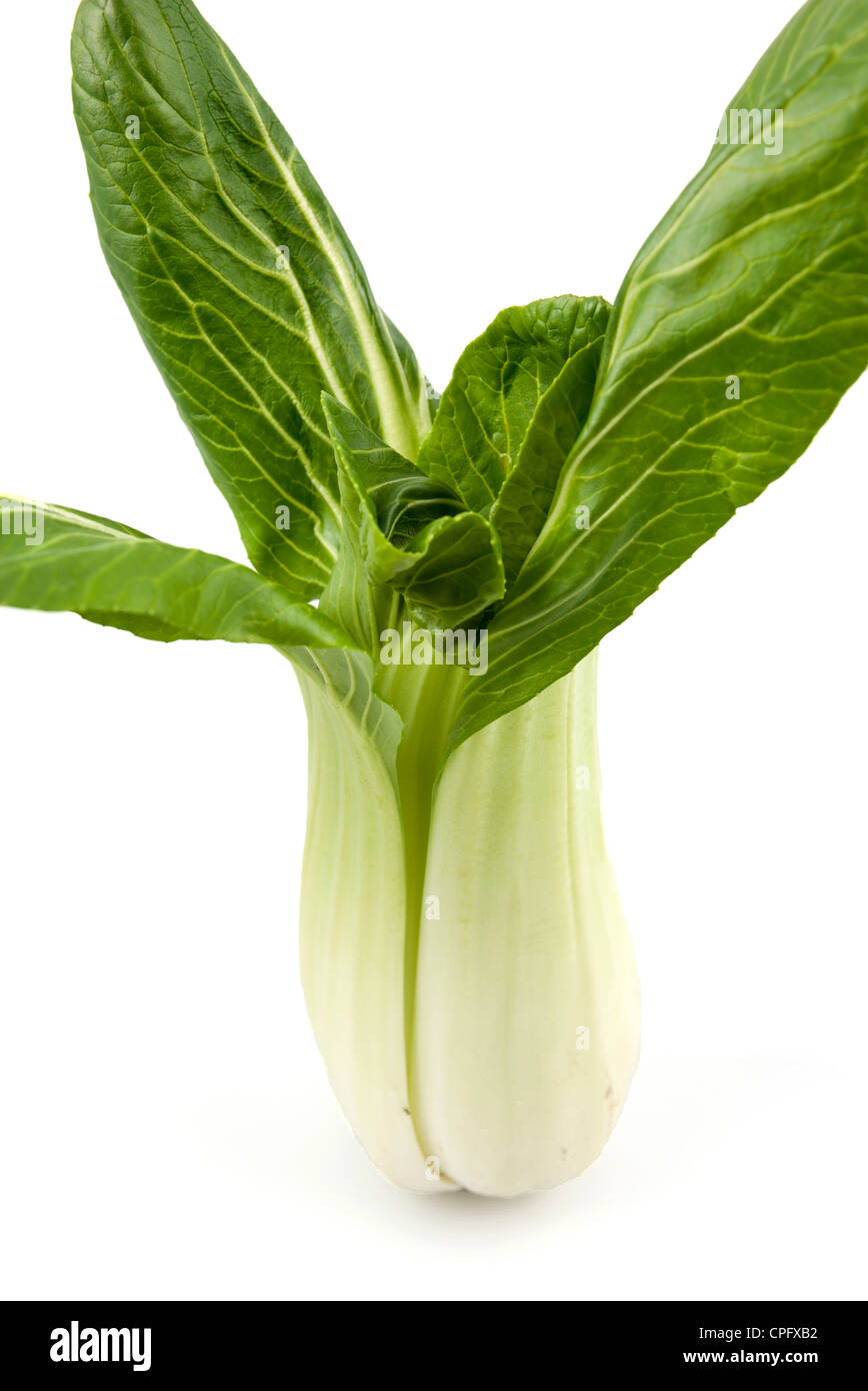 Raw pak choi hi-res stock photography and images - Alamy