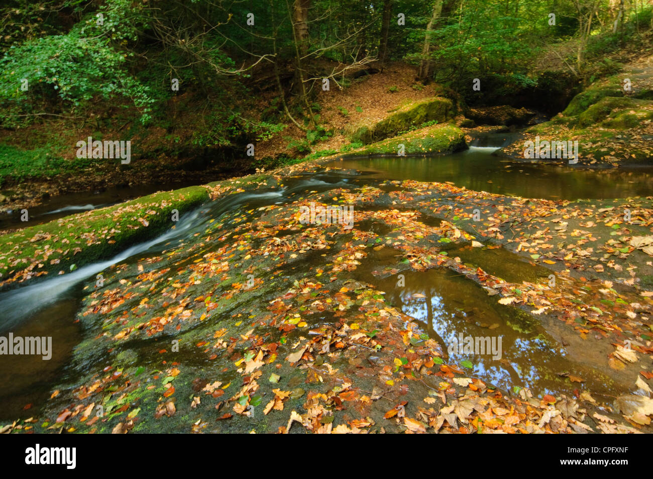 Dale brook hi-res stock photography and images - Alamy