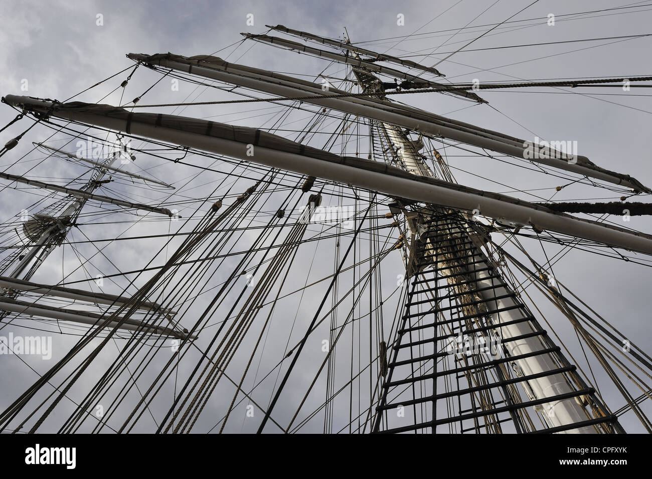 Radic Stock Photos & Radic Stock Images - Alamy