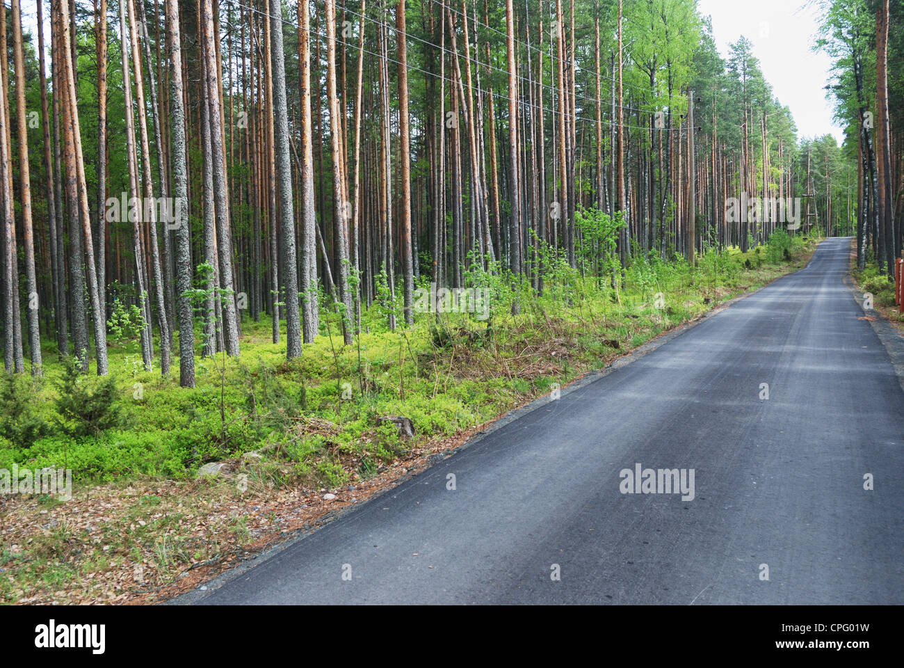 Road disappearing into the distance hi-res stock photography and images ...