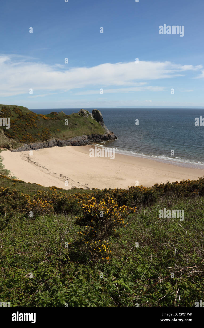 Nicholaston farm hi-res stock photography and images - Alamy