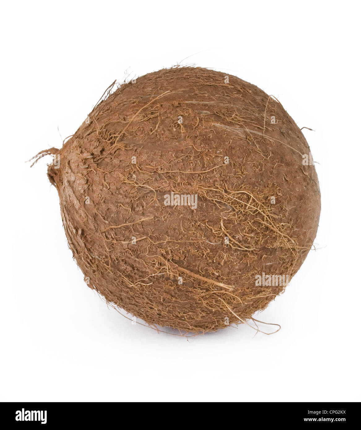 Pod coconut hi-res stock photography and images - Alamy