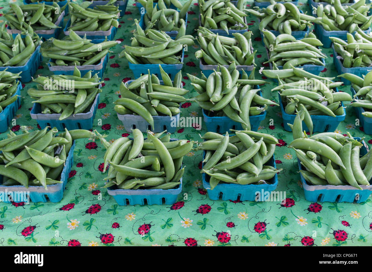 A display of fresh peas at the farmers market Stock Photo - Alamy