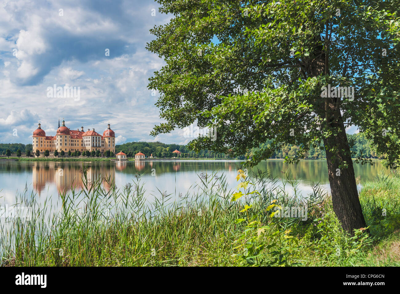 Schloss Moritzburg, Sachsen Deutschland, Europa | Moritzburg Castle ...