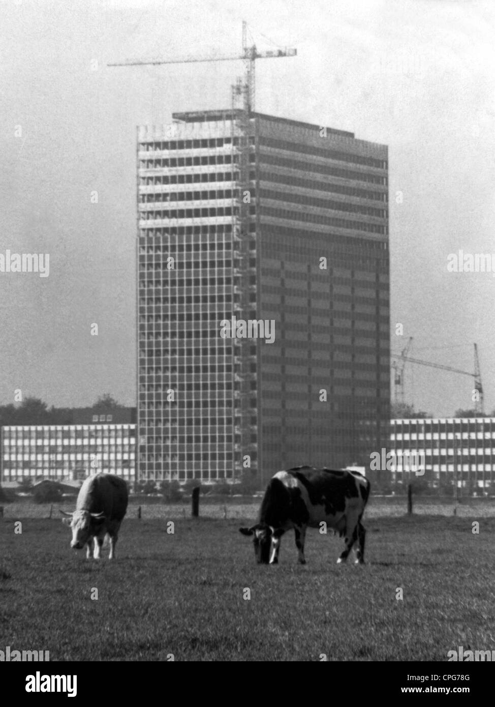architecture, construction work, construction of a multi-storey ...