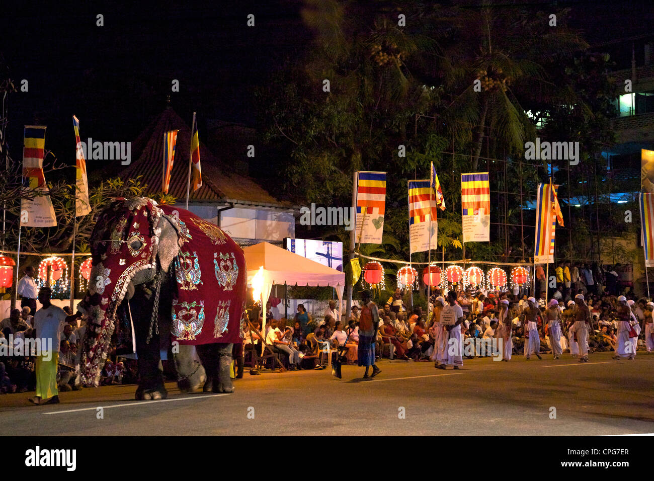 Ceremonial elephant in the Navam Maha Perahera, Colombo, Sri Lanka ...