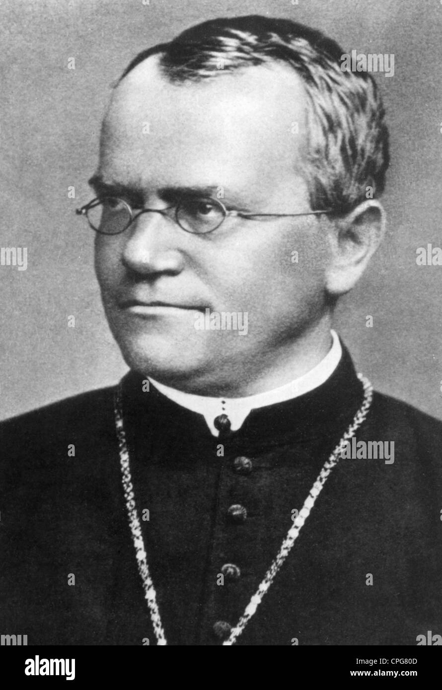 Gregor johann mendel 1822 1884 High Resolution Stock Photography and ...