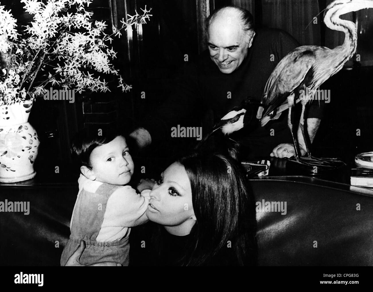 Sophia ponti hi-res stock photography and images - Alamy