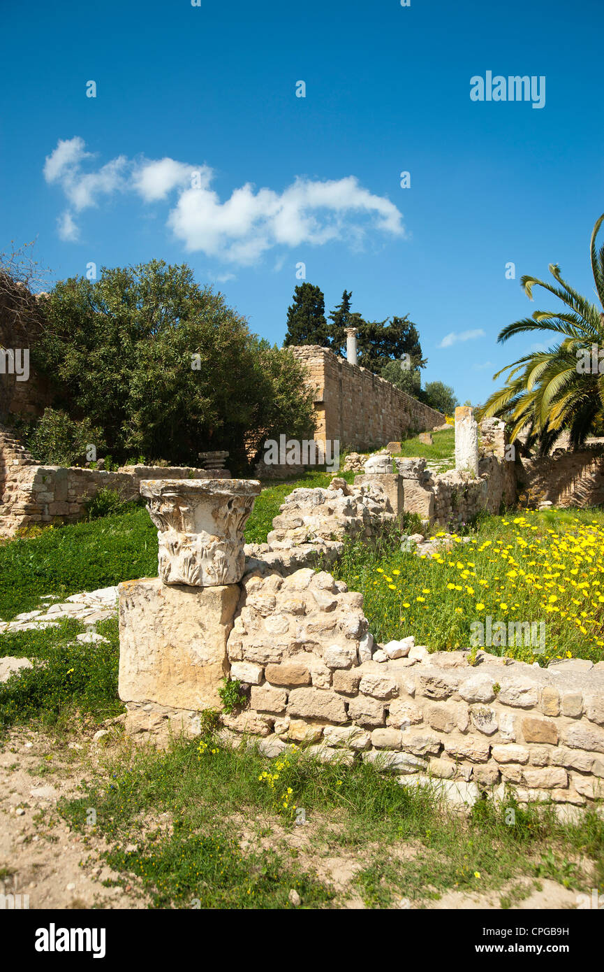 Carthage, Tunisia - Ancient Roman ruins quarter Stock Photo - Alamy