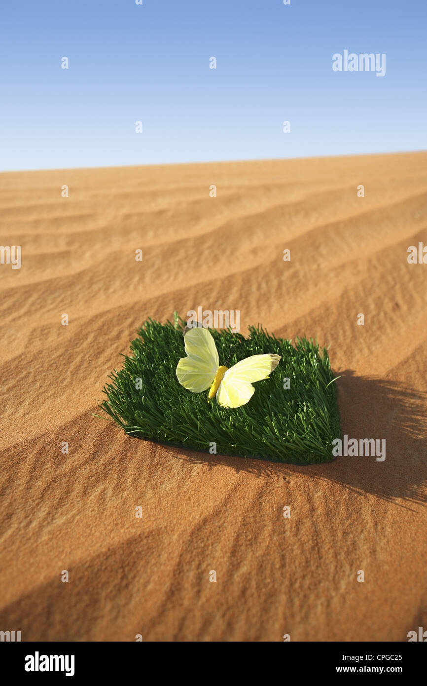 Butterfly article hi-res stock photography and images - Alamy