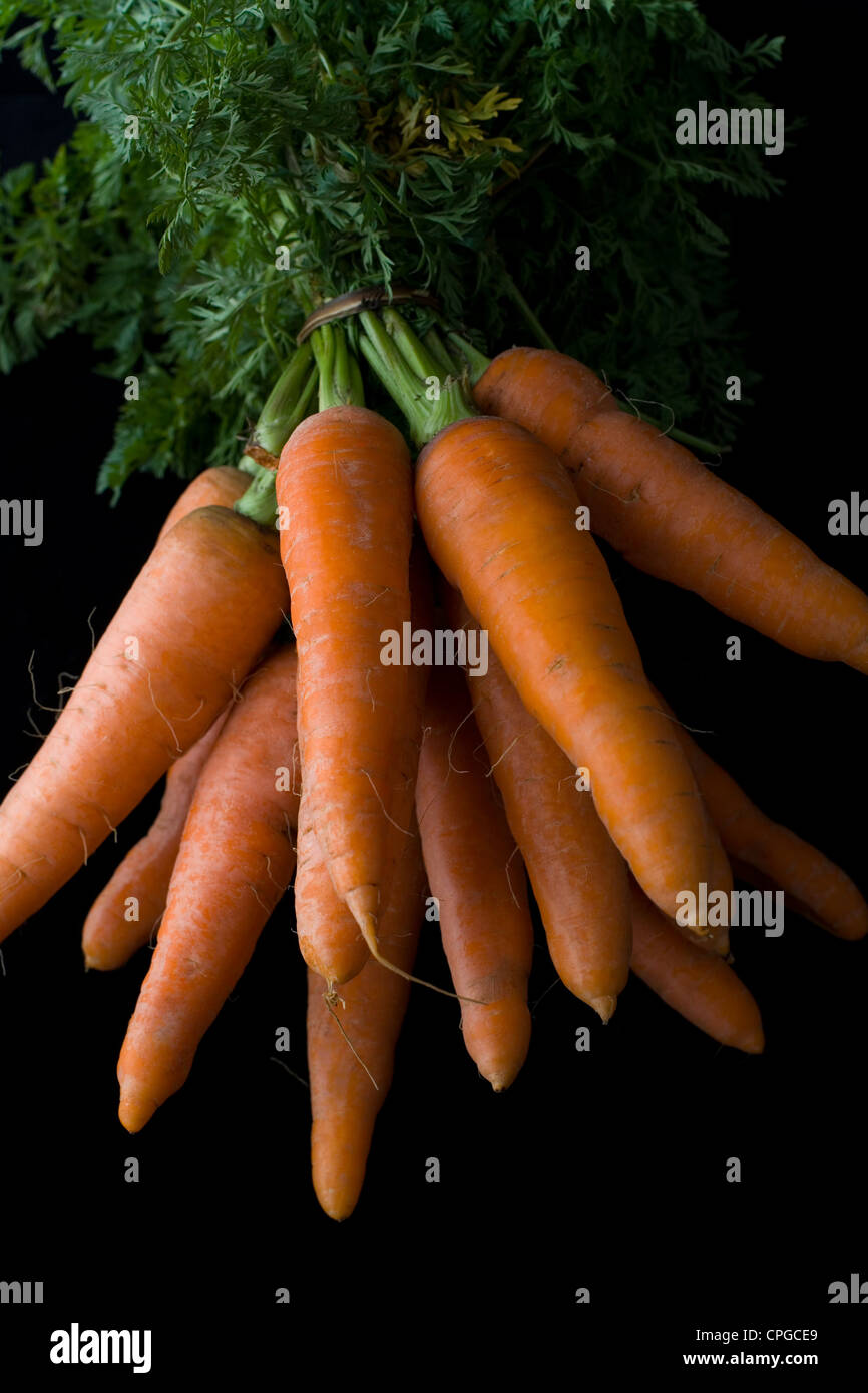 Pack of carrots hi-res stock photography and images - Alamy