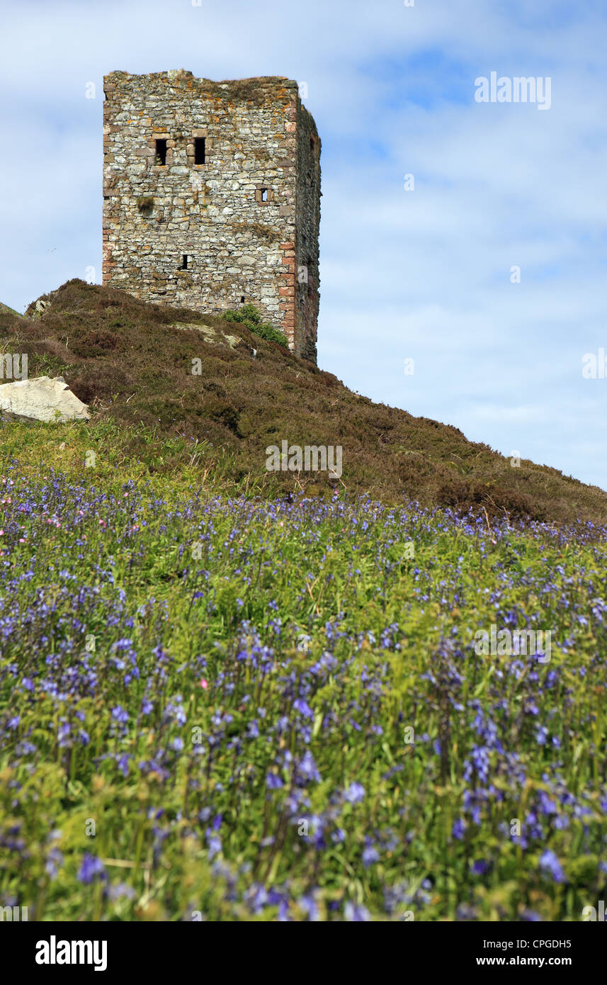 Ailsa craig island hi-res stock photography and images - Alamy