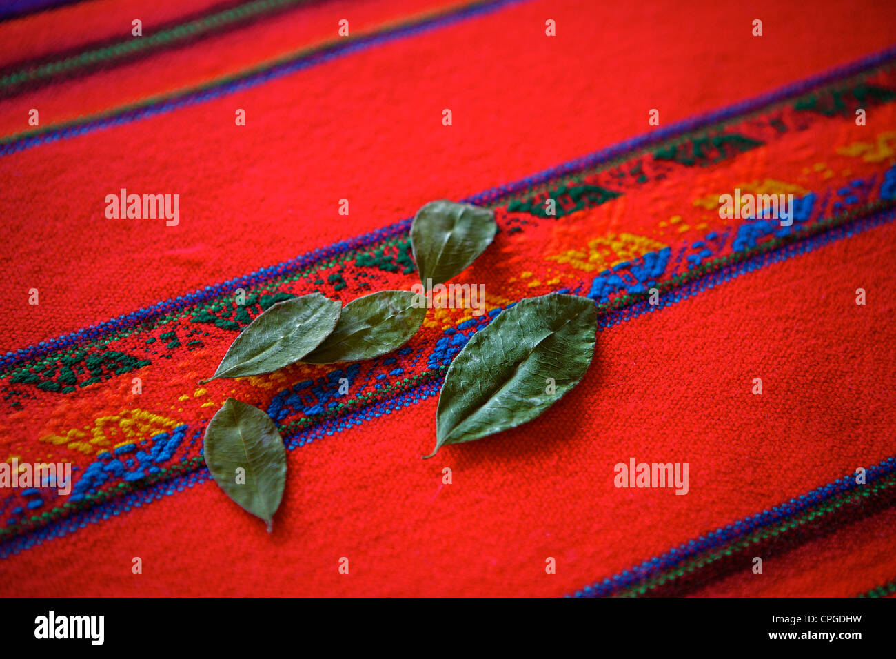 Coca leaves hi-res stock photography and images - Alamy