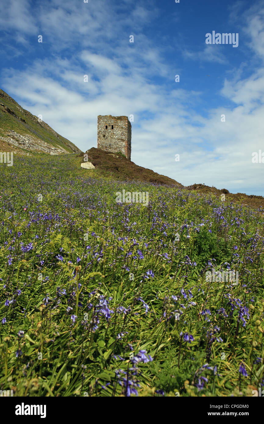Ailsa craig island hi-res stock photography and images - Alamy