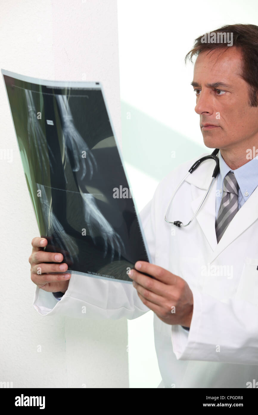 Doctor looking at X-ray Stock Photo - Alamy