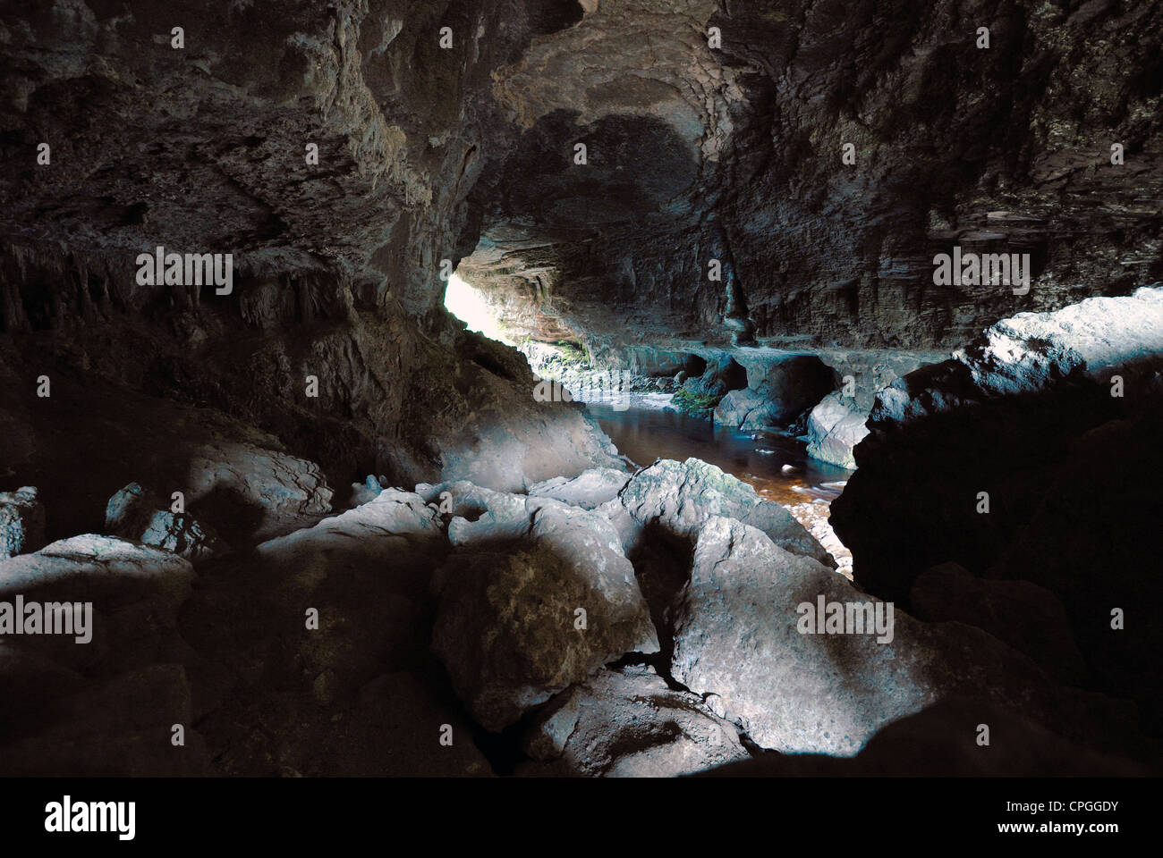 Oparara basin arches hi-res stock photography and images - Alamy