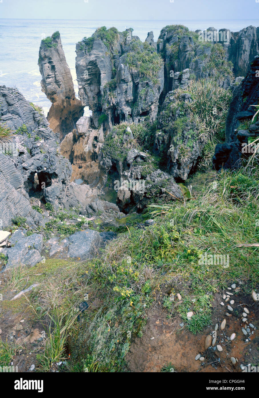Pancake Rocks, Punakaiki, New Zealand Stock Photo - Alamy