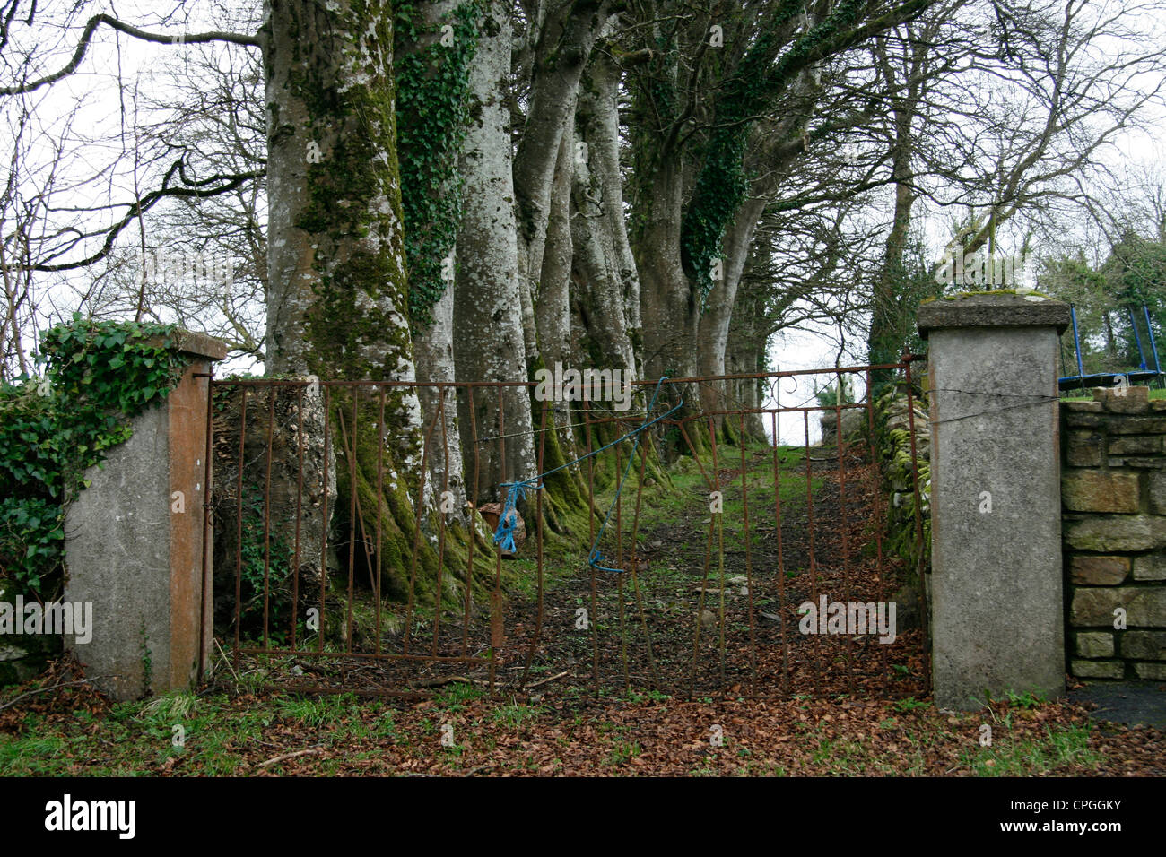 Driveway gate hi-res stock photography and images - Alamy