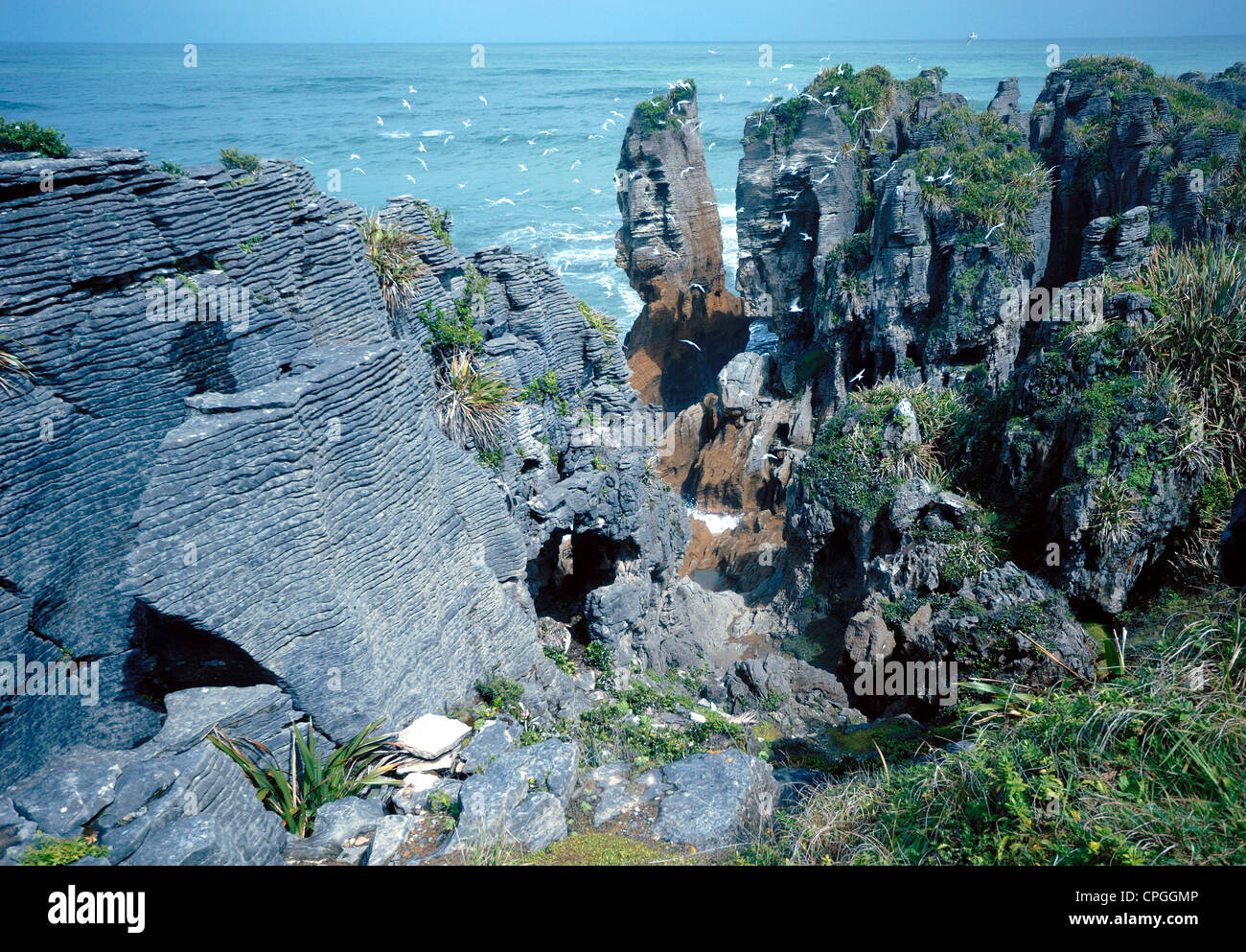 Pancake Rocks, Punakaiki, New Zealand Stock Photo - Alamy