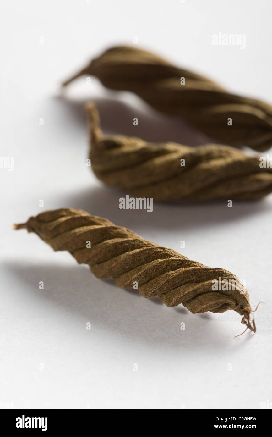 Native spices hi-res stock photography and images - Alamy
