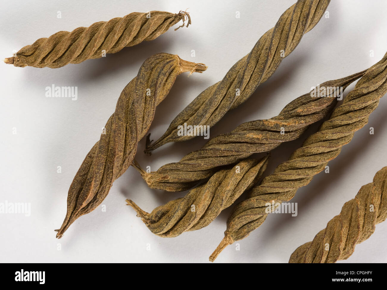 Native spices hi-res stock photography and images - Alamy