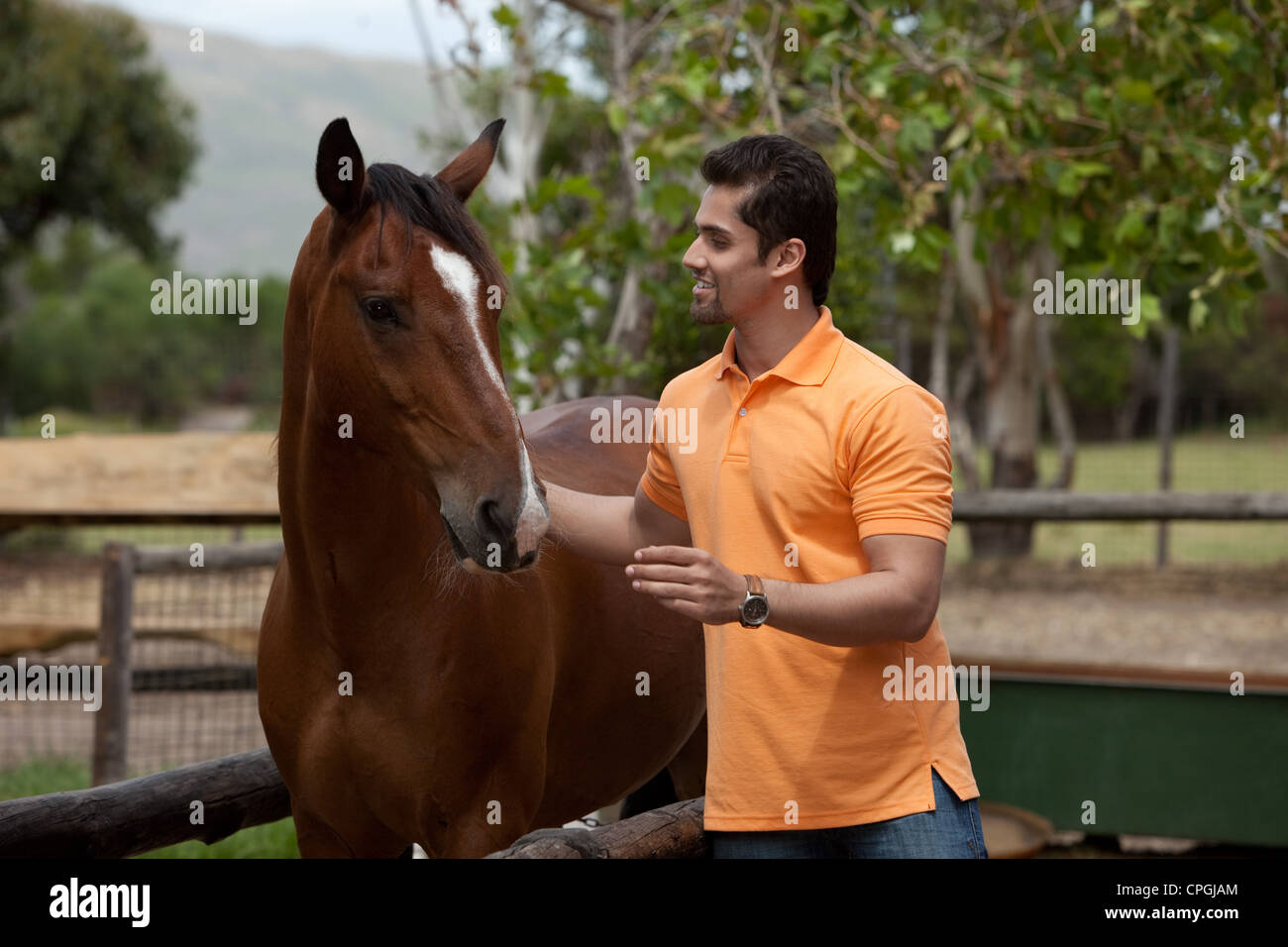 Man holding a horse hi-res stock photography and images - Alamy