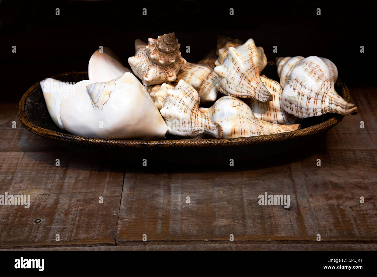 Sea shells in form hi-res stock photography and images - Alamy
