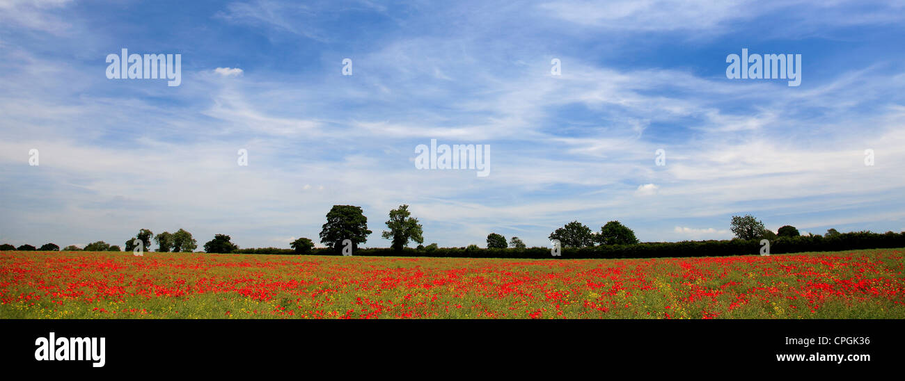 Dereham norfolk hi-res stock photography and images - Alamy