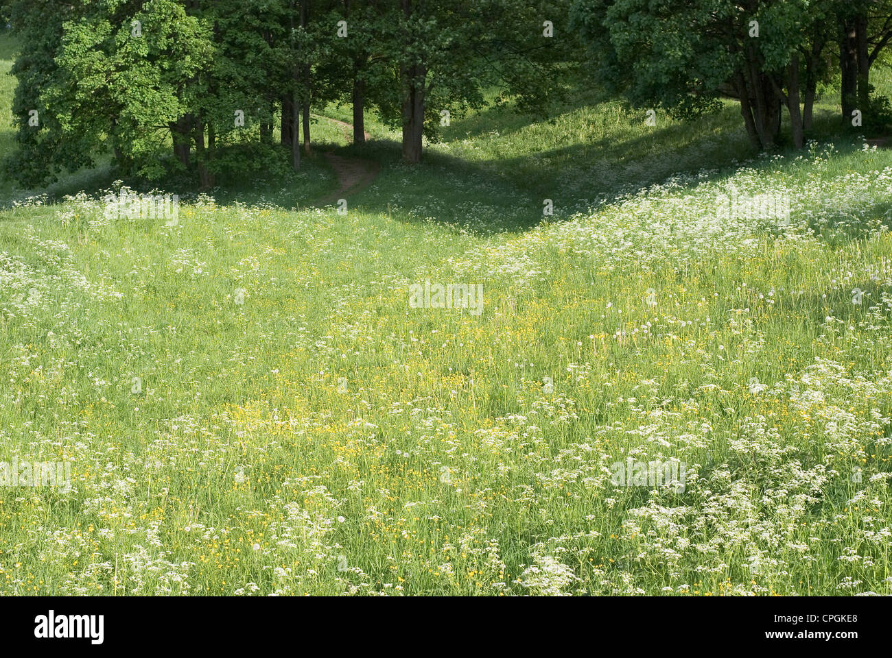 Spring landscape flowering flowers hi-res stock photography and images ...