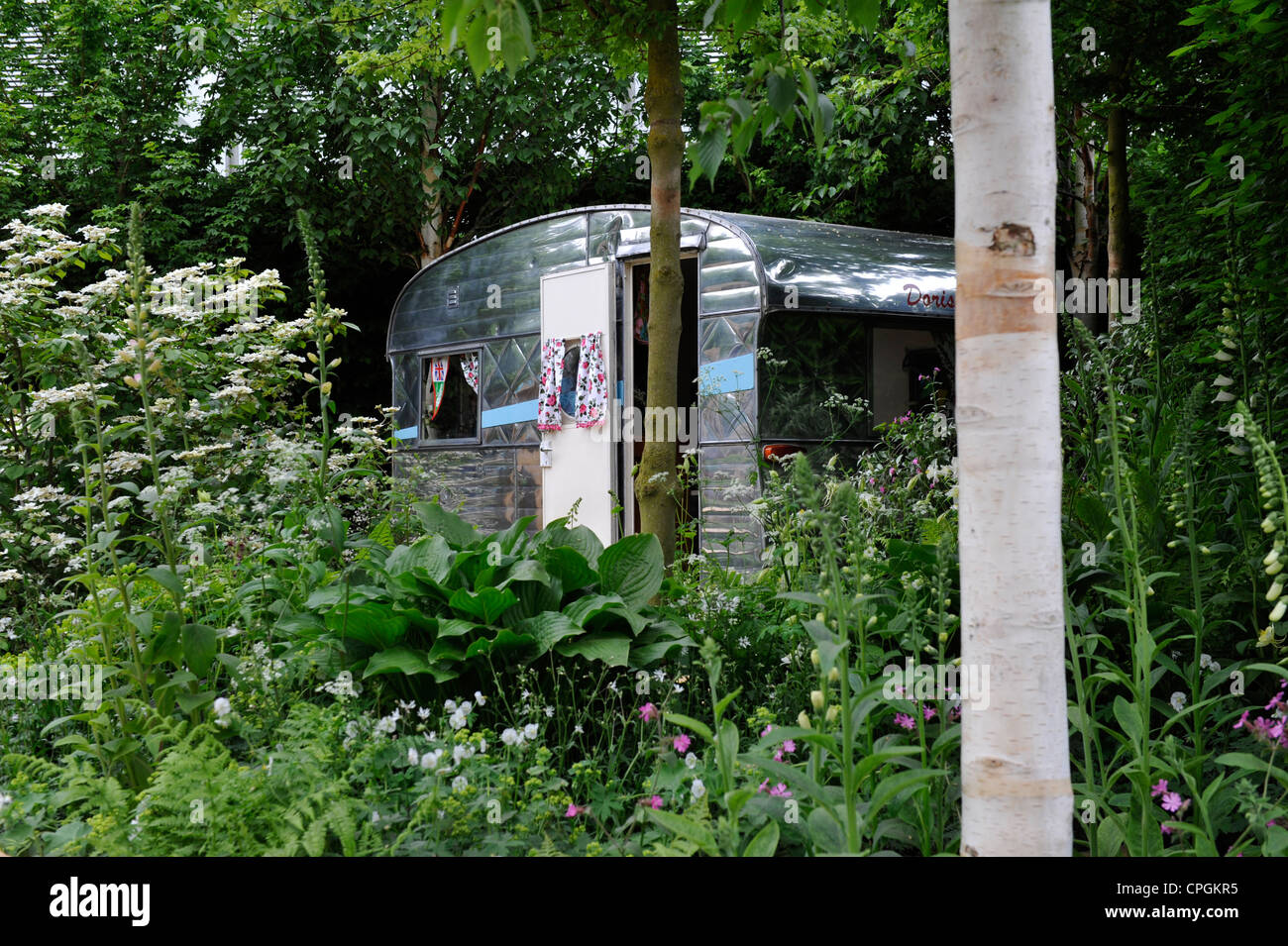 Caravan in woods Stock Photo - Alamy