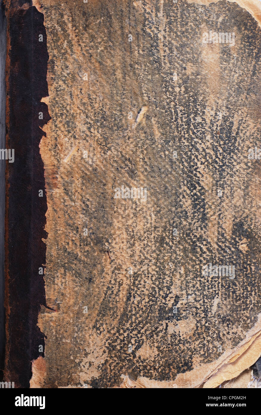 Braun designer hi-res stock photography and images - Alamy