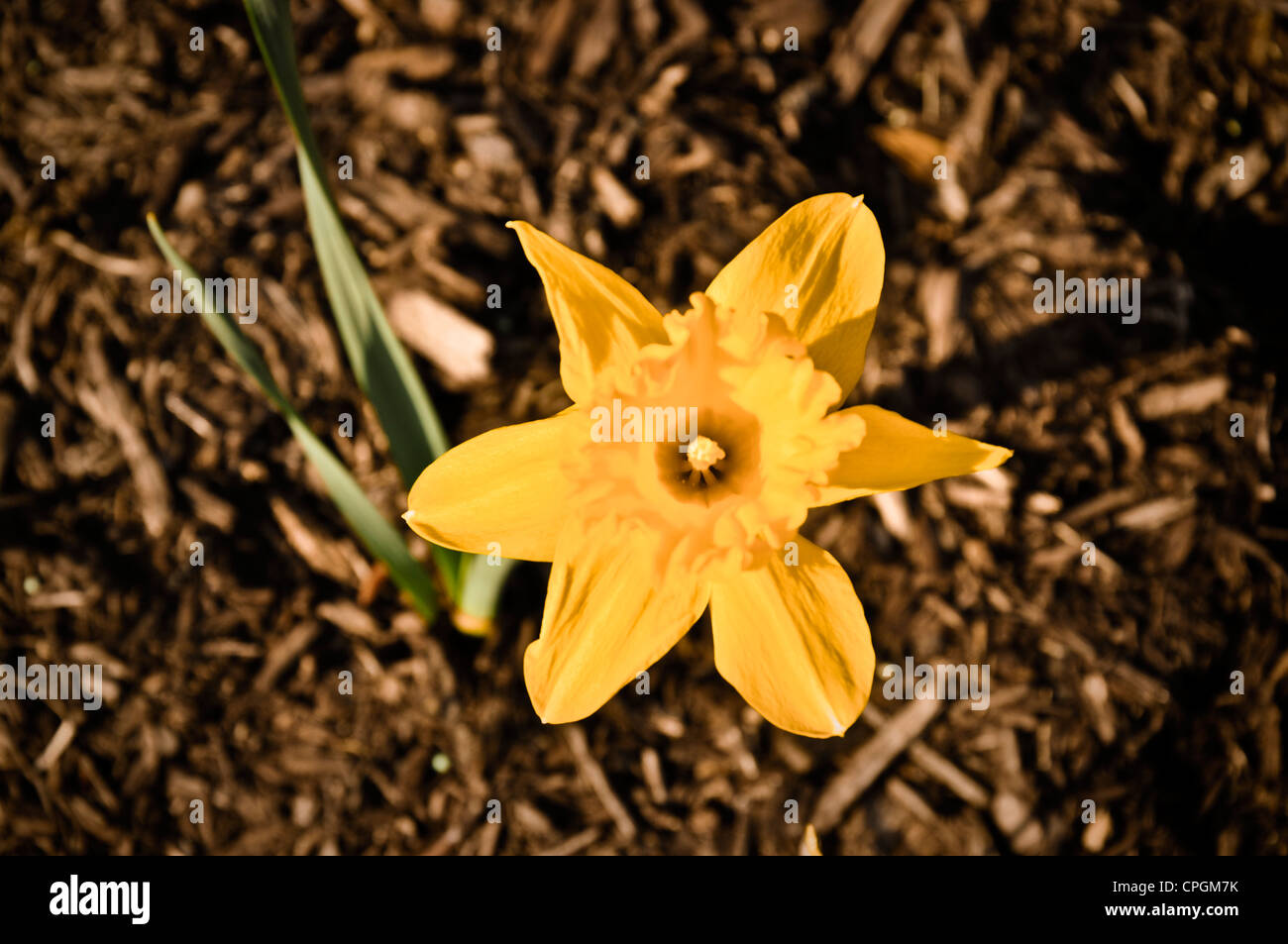 Positive effects of nature hi-res stock photography and images - Alamy