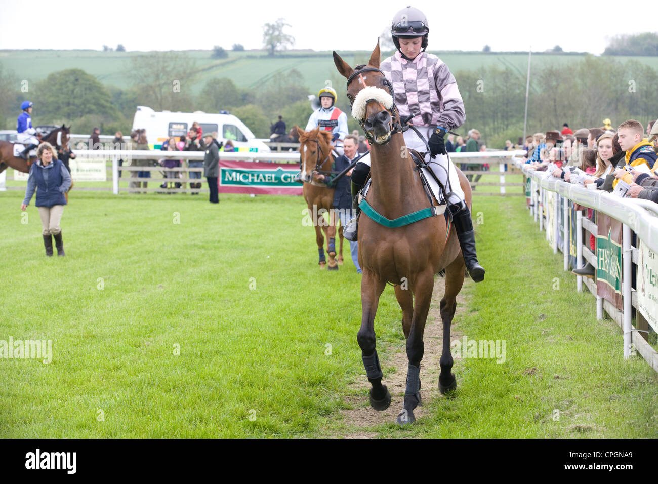 After The Finish Line Looking After America39s Race Horses