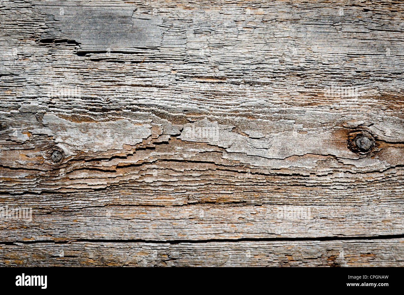 Wood bark texture Stock Photo - Alamy