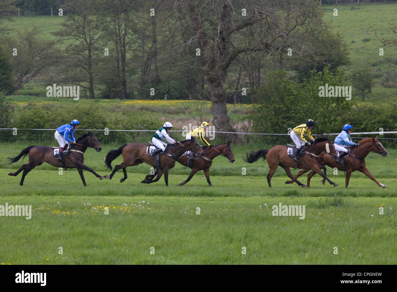 Excellent horsemanship hi-res stock photography and images - Alamy