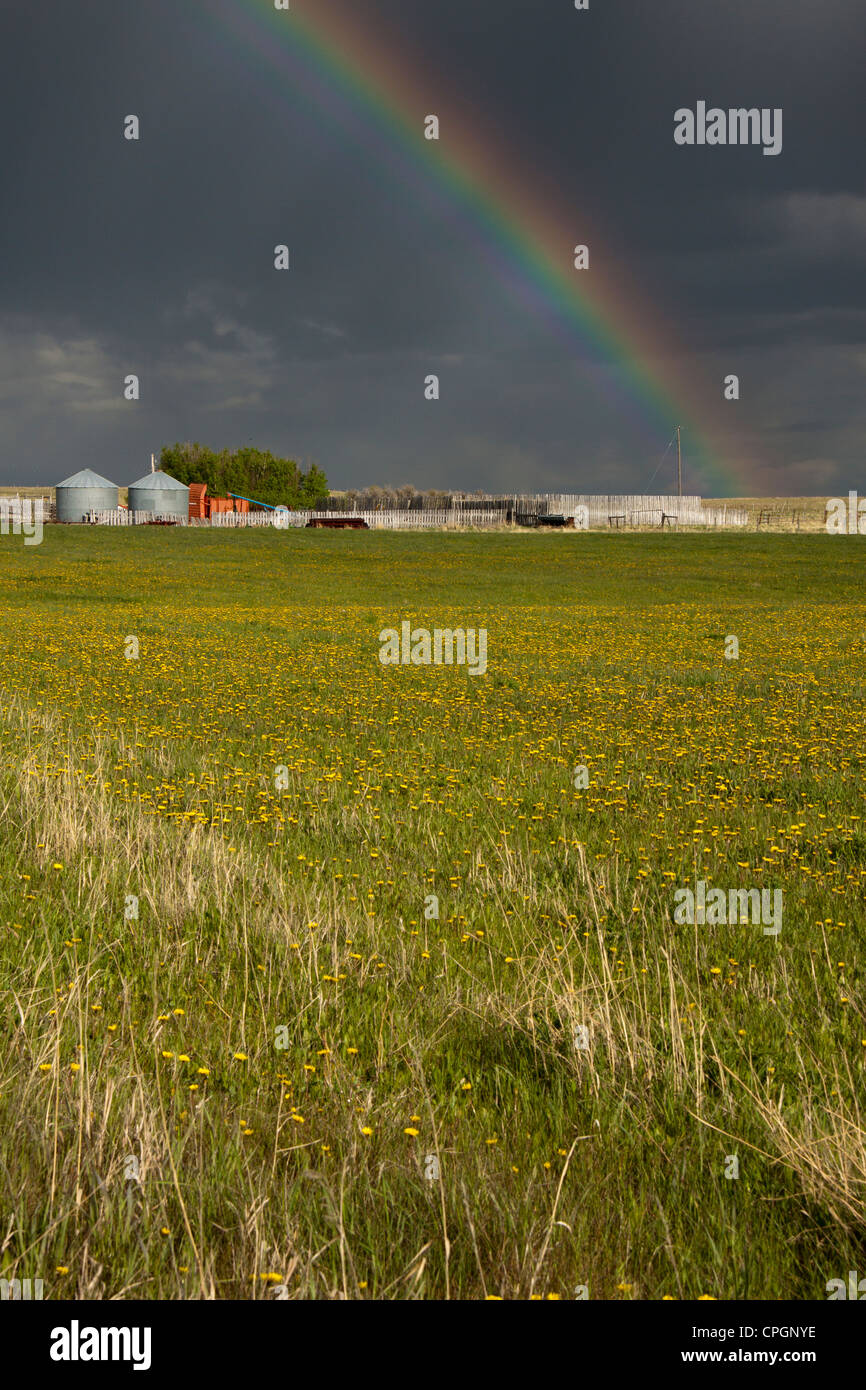 Canadian prairie farm hi-res stock photography and images - Alamy