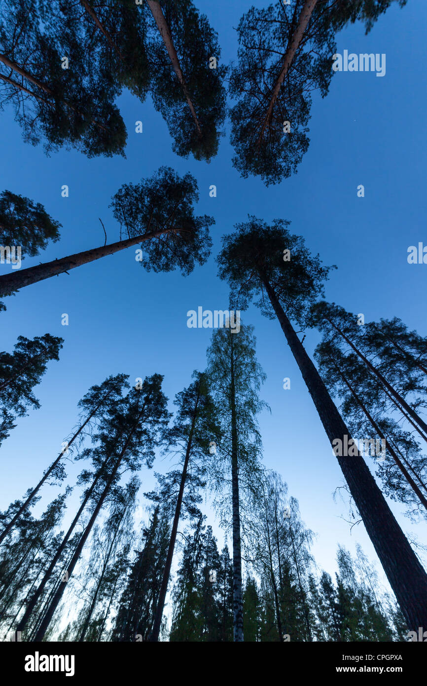Wide angle lens night hi-res stock photography and images - Alamy
