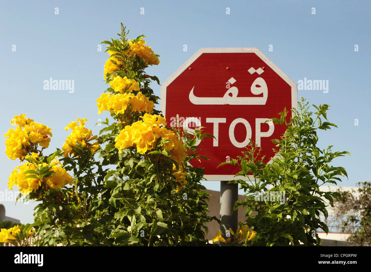 Stopping plants hi-res stock photography and images - Alamy