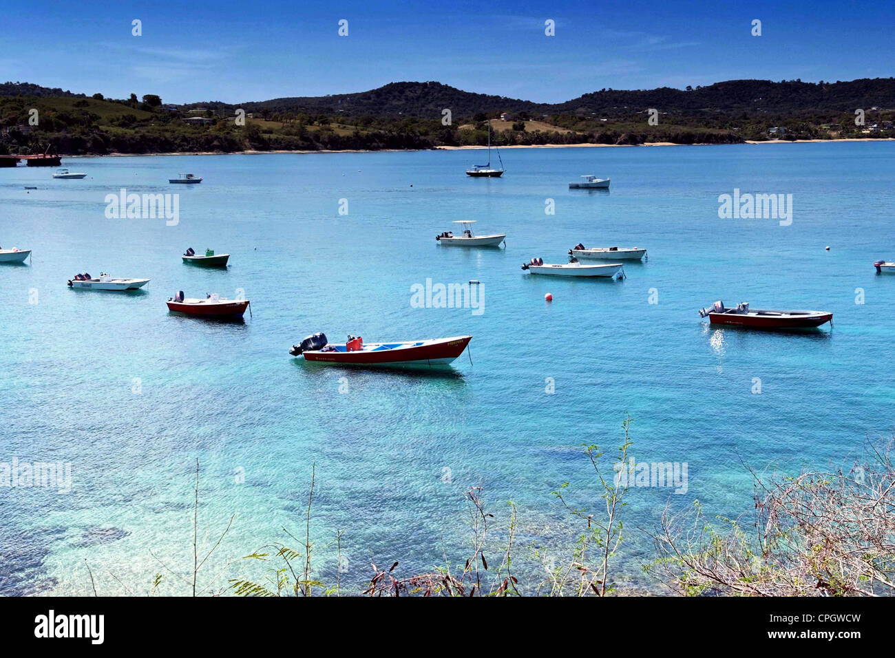 PUERTO RICO VIEQUES Caribbean resort island Isabel II Stock Photo - Alamy