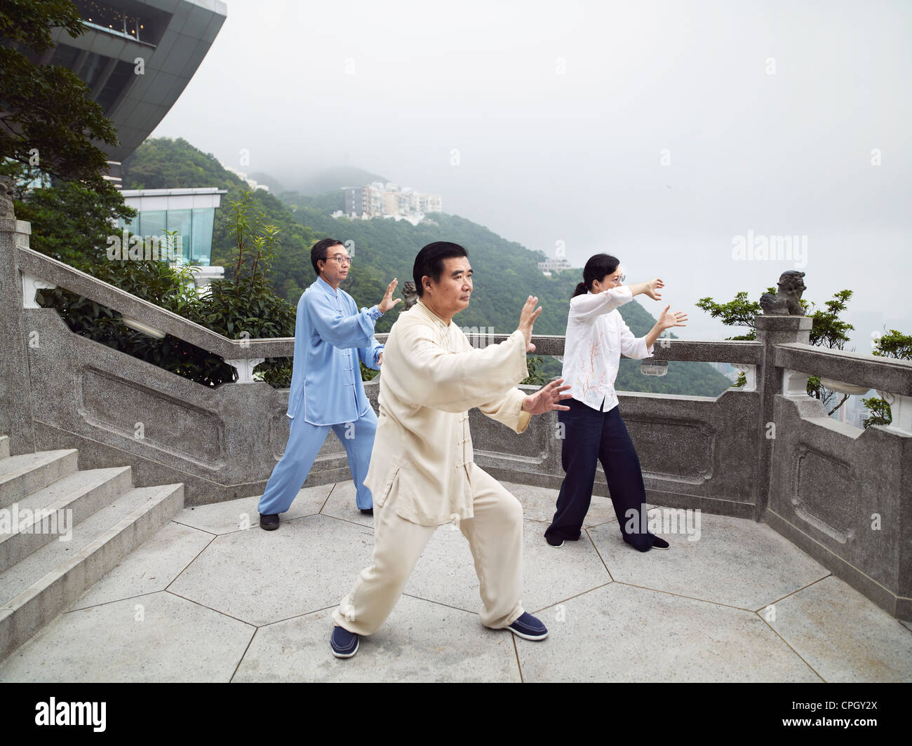 Tai Chi Master
