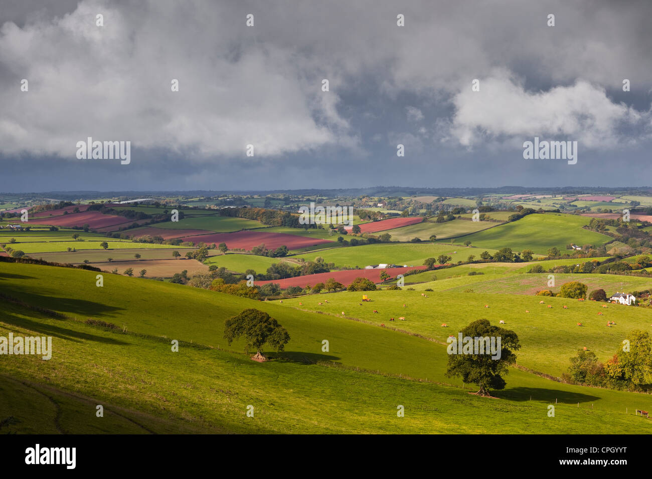The Raddon Hills in Devon under a passing storm Stock Photo - Alamy