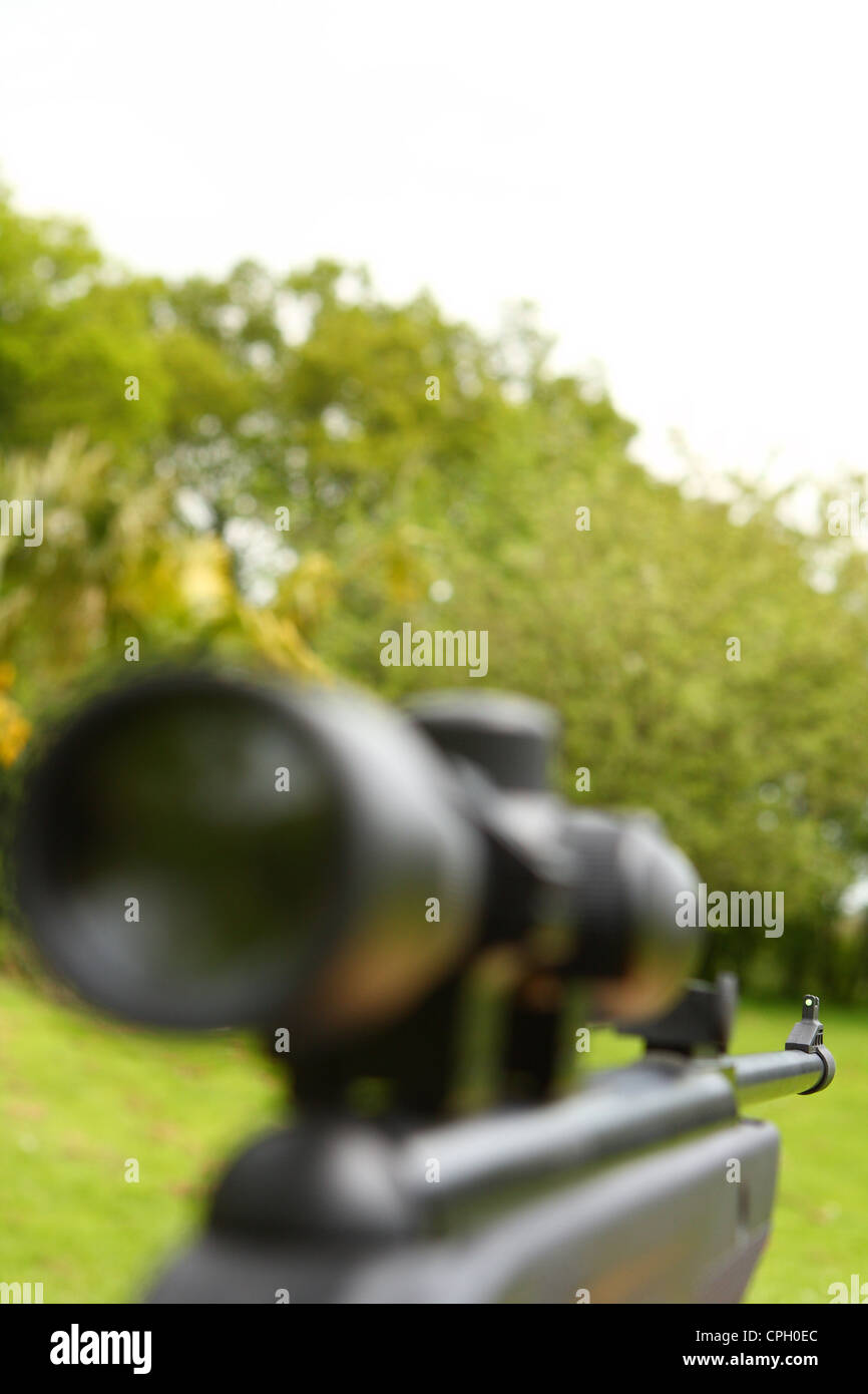 looking along a telescopic sight and down the barrel of an air rifle ...