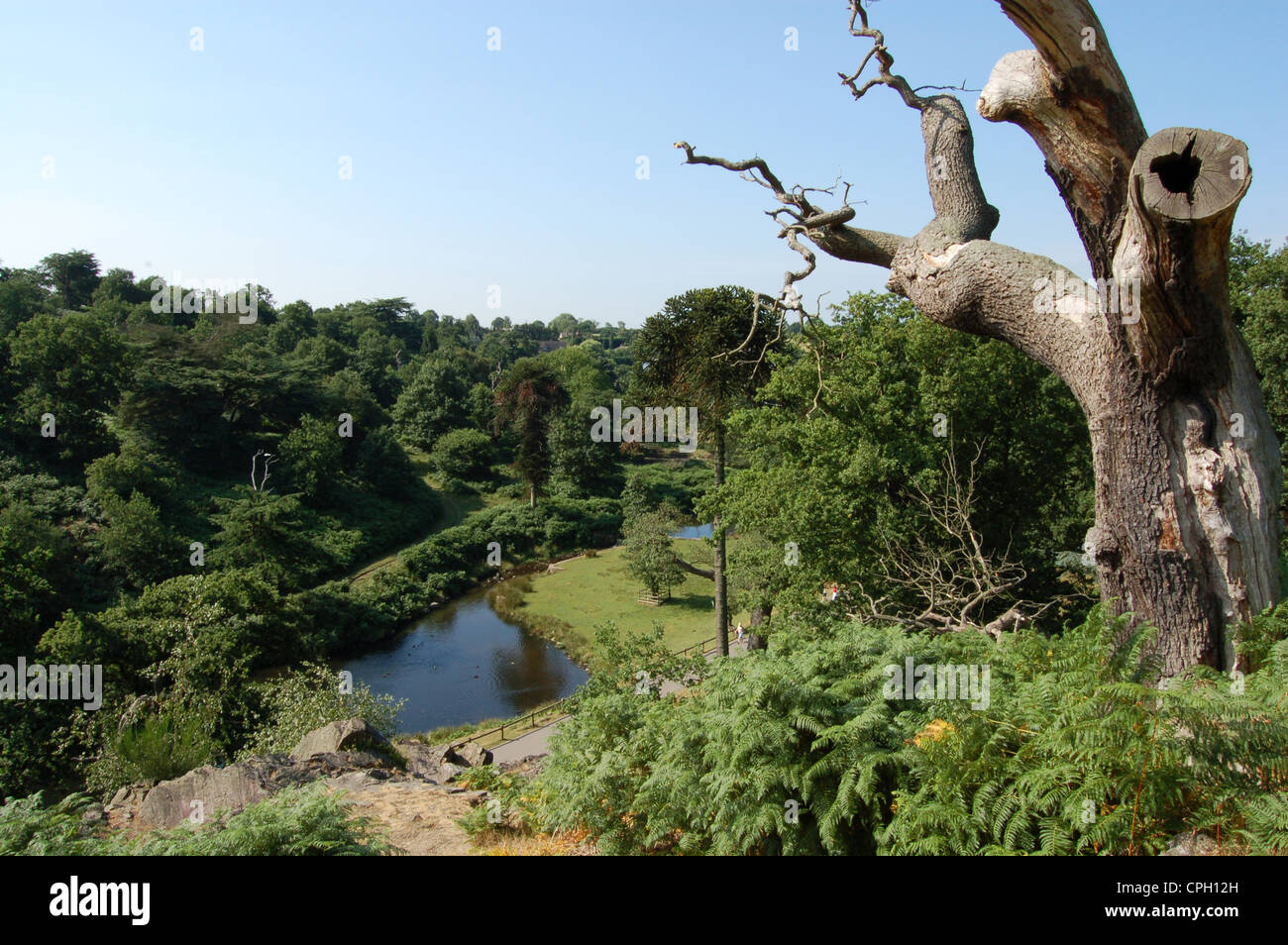 Linford newtown hi-res stock photography and images - Alamy