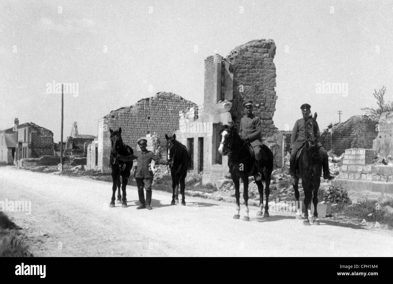 Horses in the first world war hi-res stock photography and images - Alamy